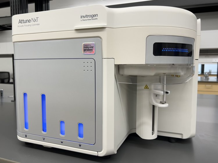 Invitrogen XCell SureLock Mini Cell — Lab Cycle Partners