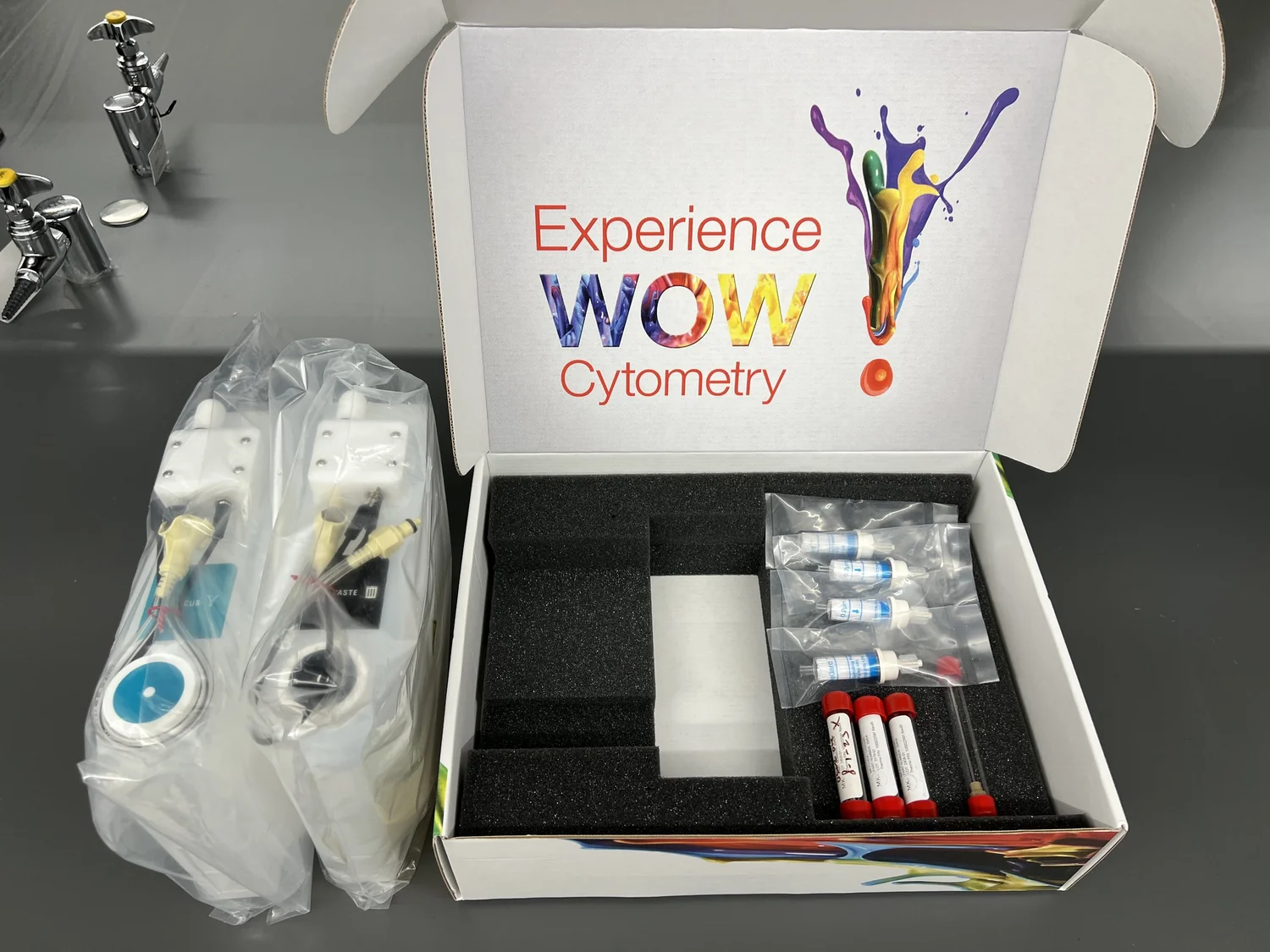 Invitrogen XCell SureLock Mini Cell — Lab Cycle Partners