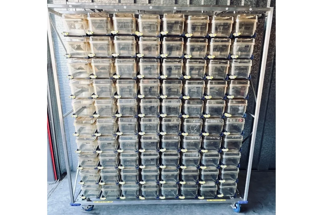 Tecniplast Green Line Rat Rack - 70 Cage, Double Sided, GR900 (DGR70 ...