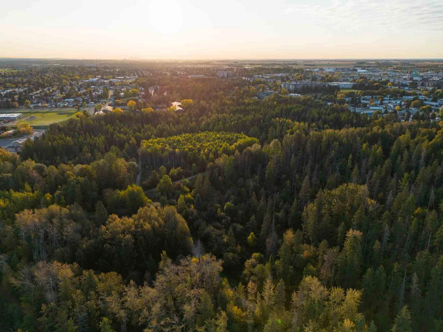 Amenities in Spruce Grove | Live the Sweet Life — The Sweet Life in ...
