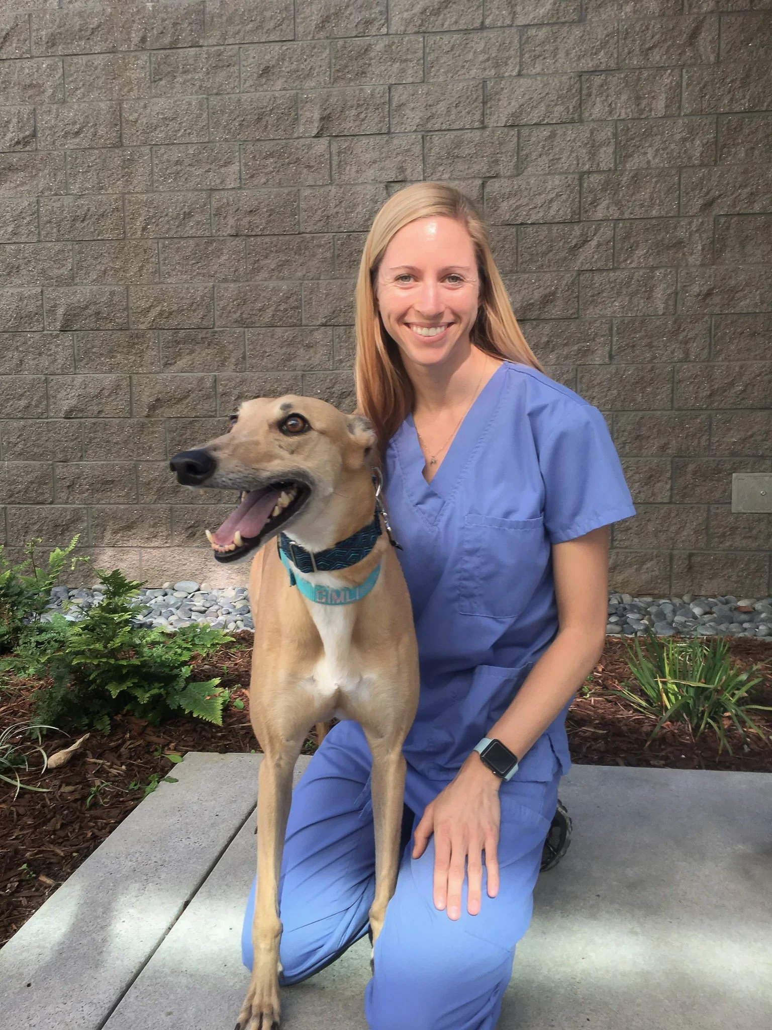 Contact — Blue Range Mobile Vet