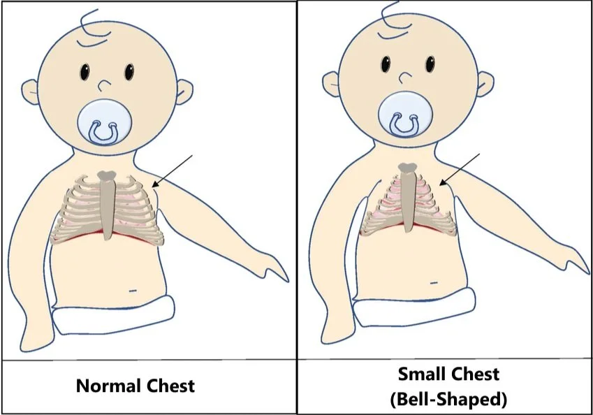 The Challenges — Pyari Pari Zoya