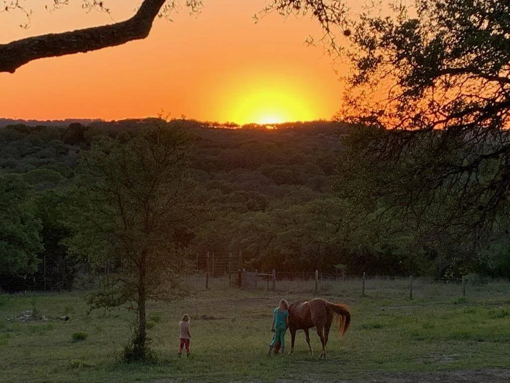 About | Ancient Roots Hill Country