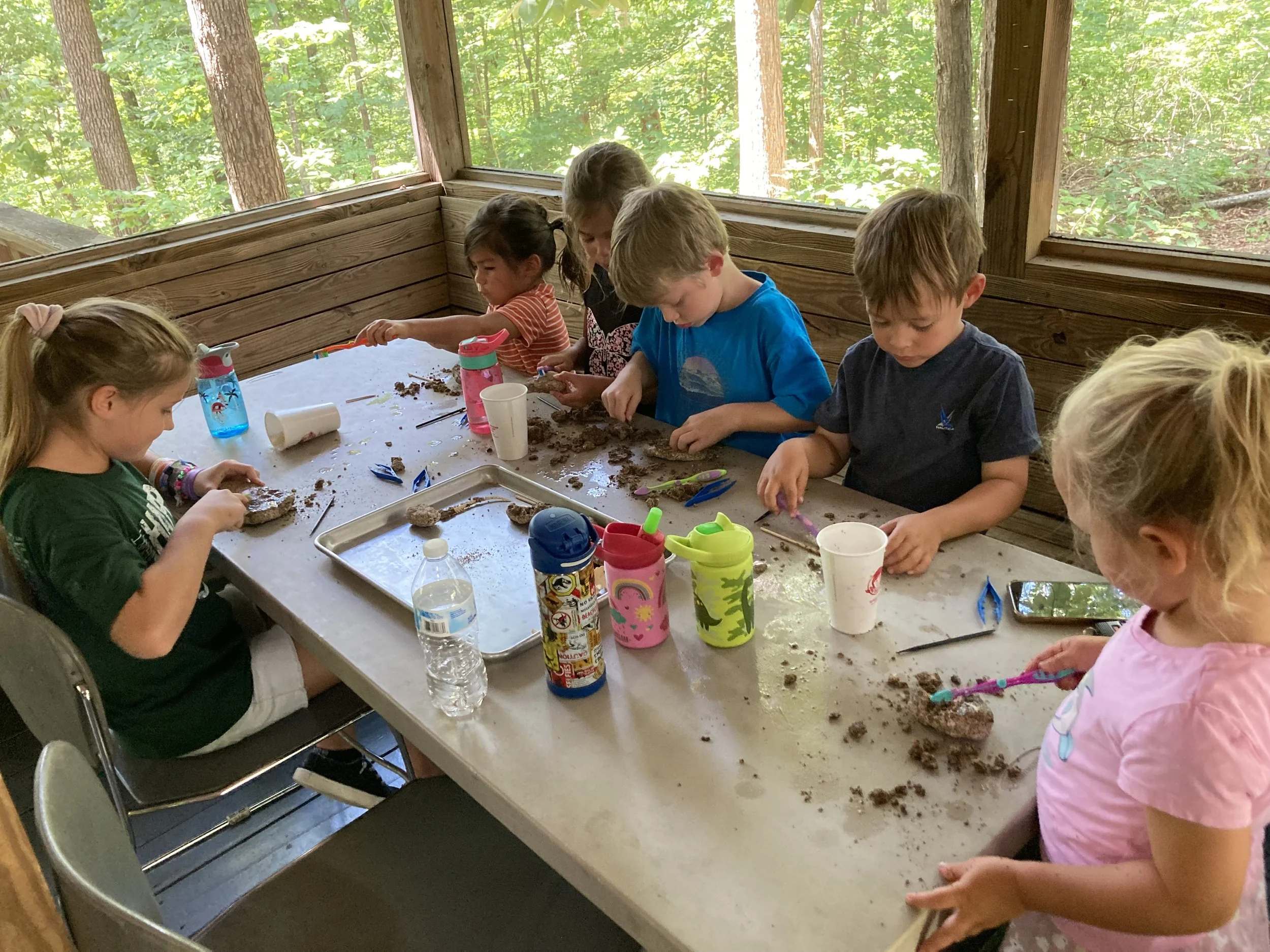 Programs — Catoosa County Parks and Recreation
