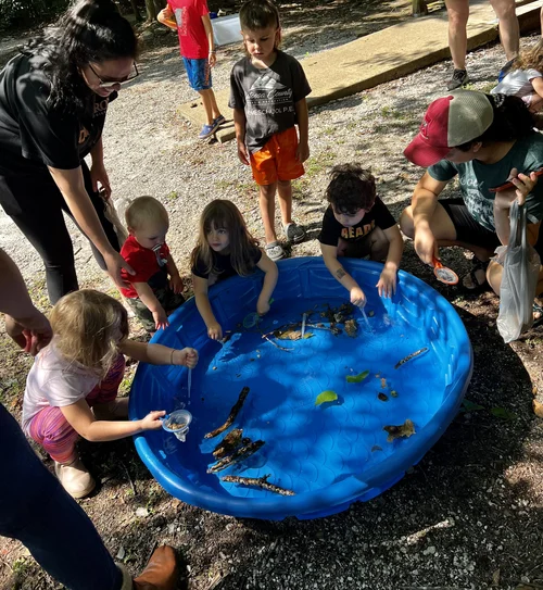 Programs — Catoosa County Parks and Recreation