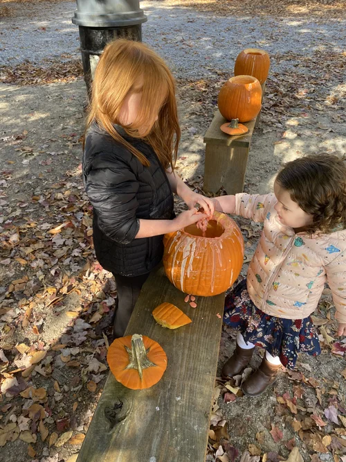 Programs — Catoosa County Parks and Recreation