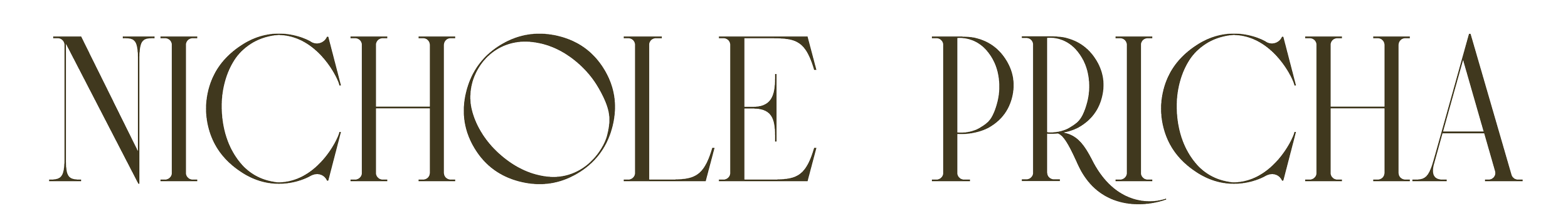 Nichole Pricha - Documentary Photographer and Business Educator