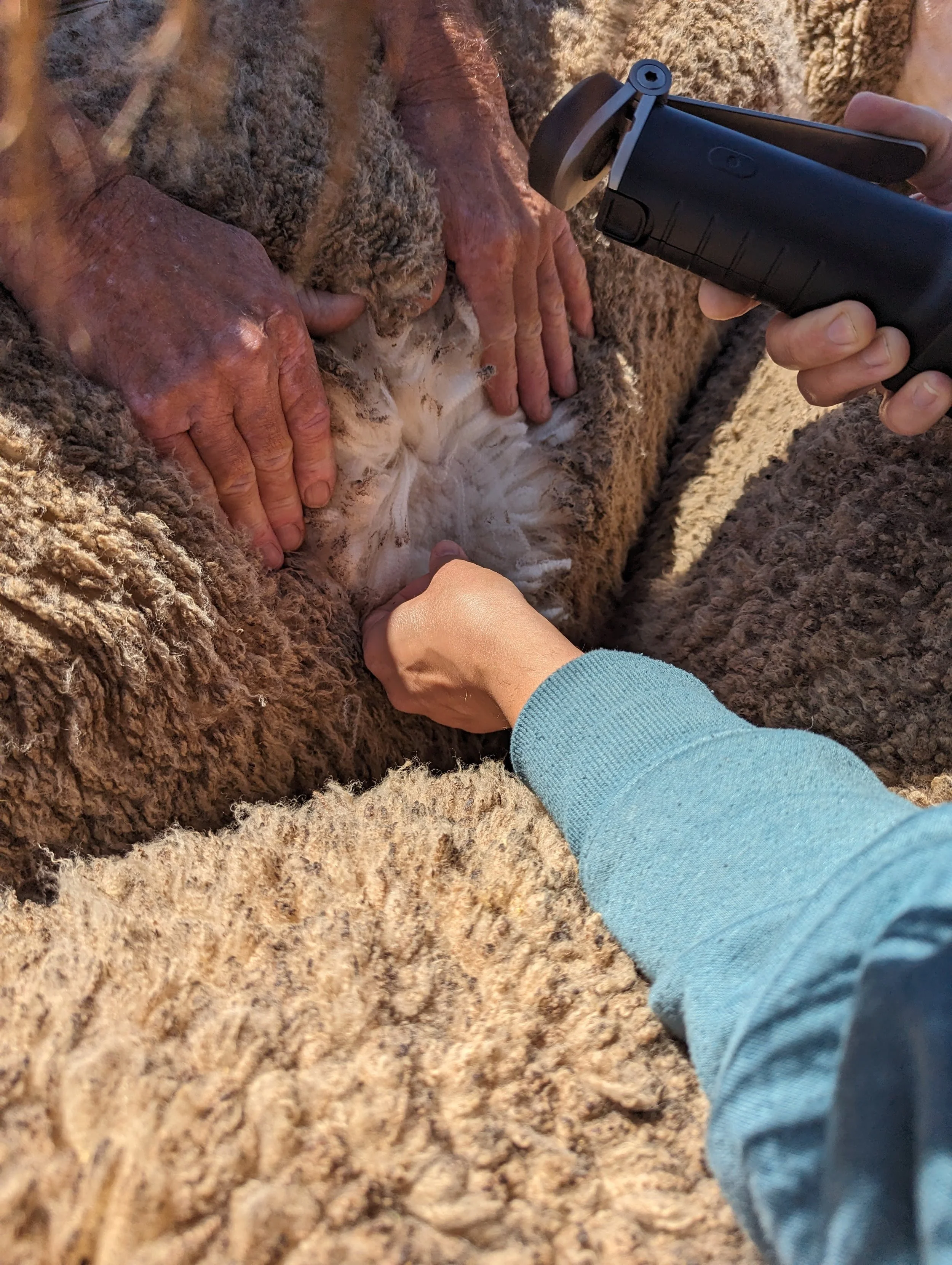 Product — Woven Optics