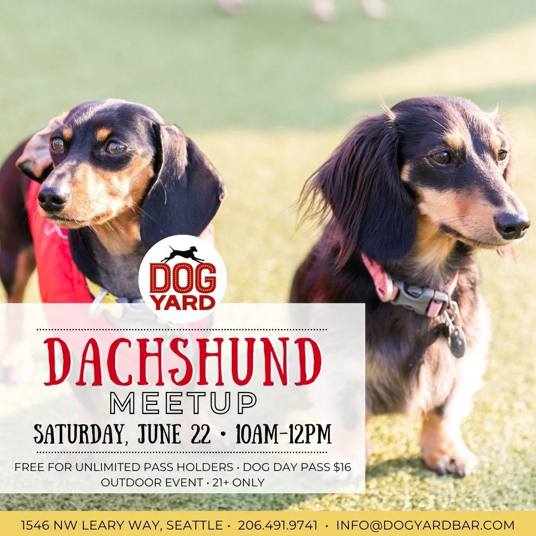 Events — Dog Yard Bar