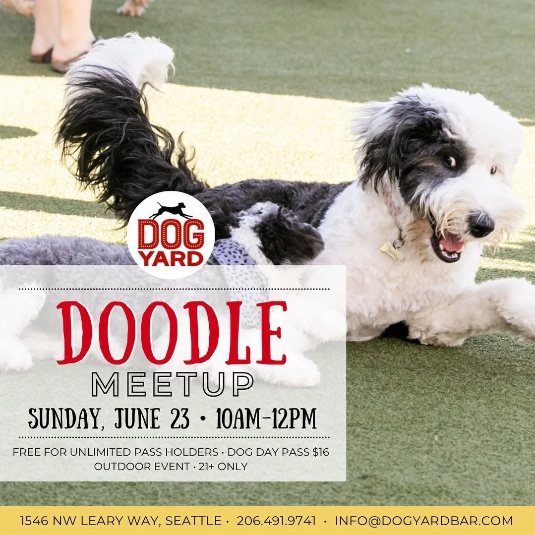 Events — Dog Yard Bar