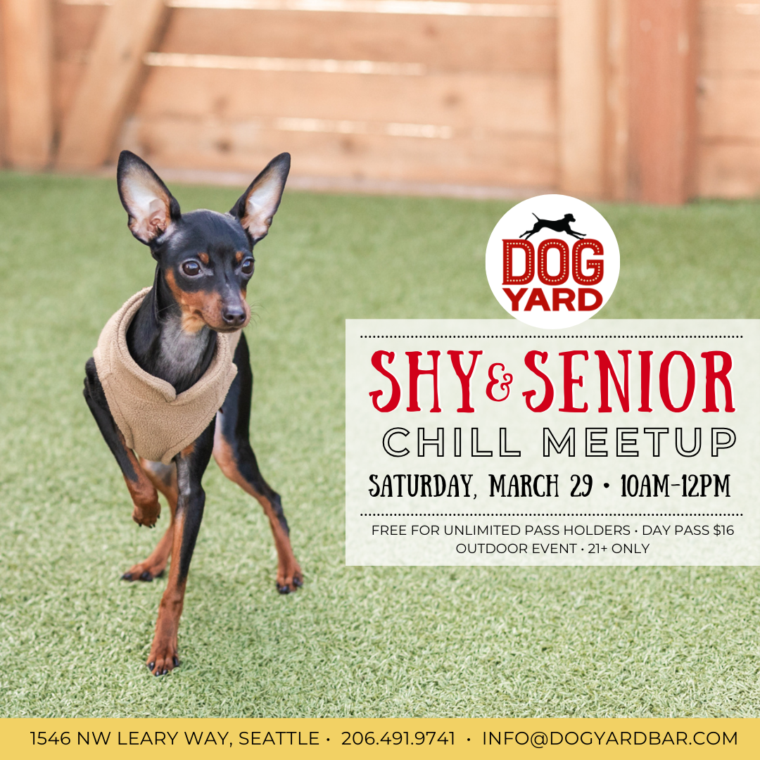 Events — Dog Yard Bar