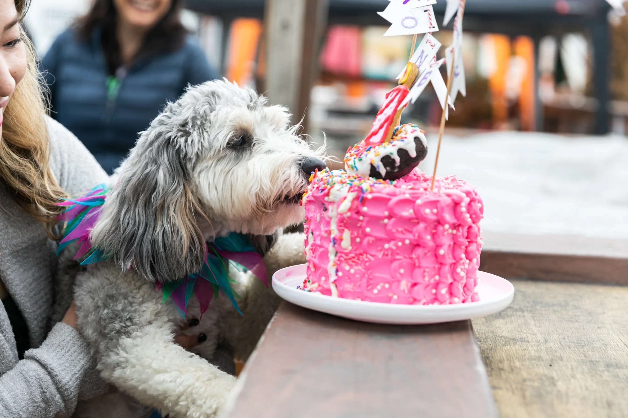 Events — Dog Yard Bar