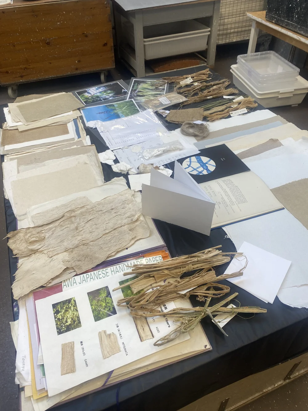 Adventures In Paper Making — Kirsty Currie, Paper Artist and ...