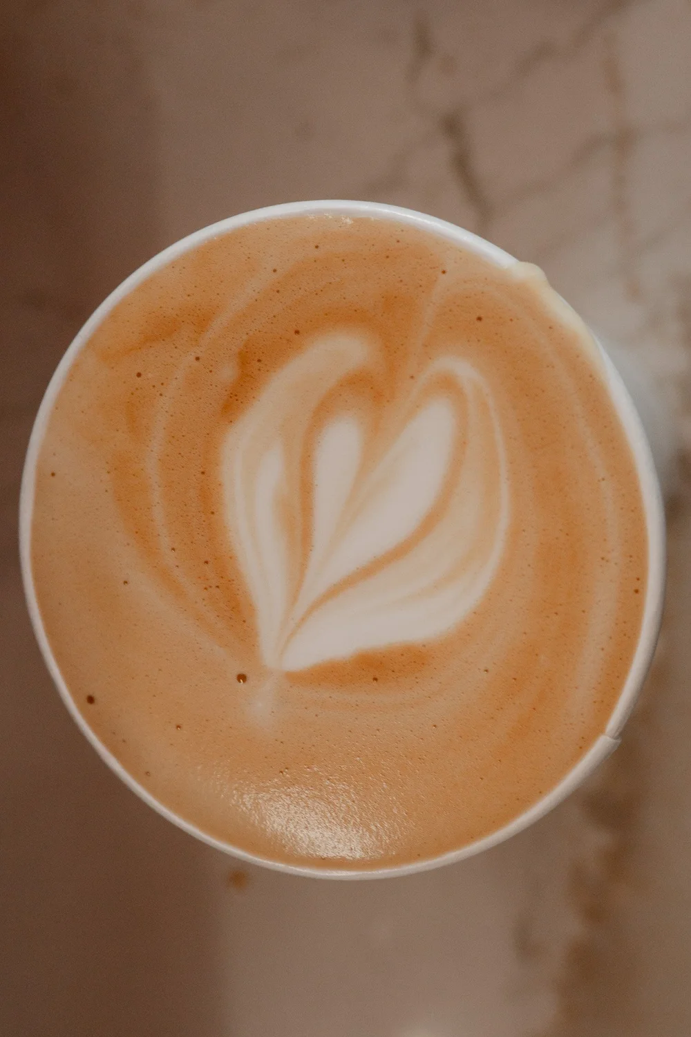 Stella Coffee Company | Midtown Reno Coffee Shop & Local Cafe