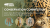 Meet our Animals — Animal Ark Wildlife Sanctuary