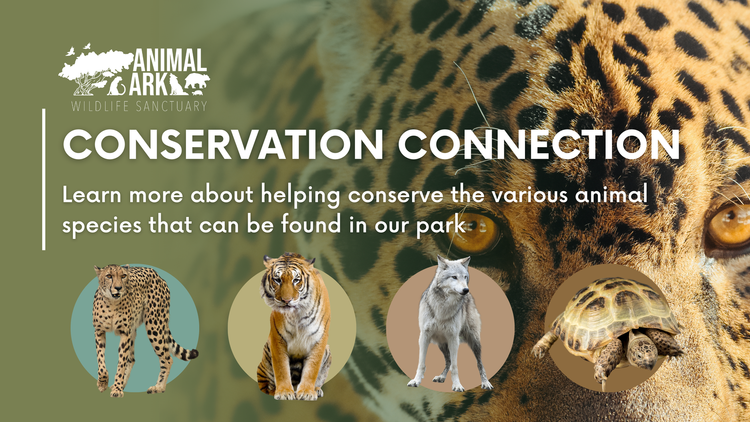 Meet our Animals — Animal Ark Wildlife Sanctuary