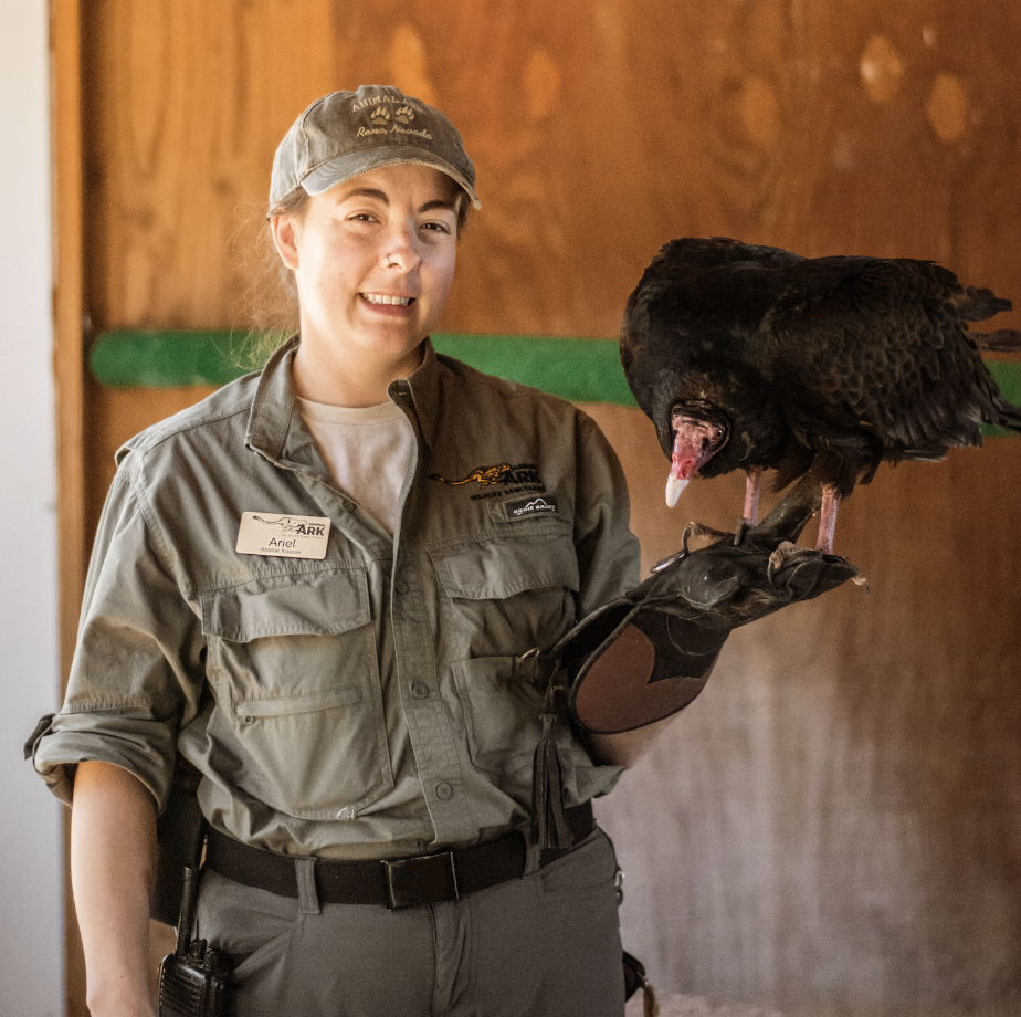 Meet our Team — Animal Ark Wildlife Sanctuary