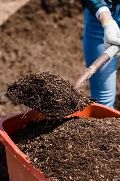Must-Have Gardening Tools — Balsamroot Urban Farmhouse