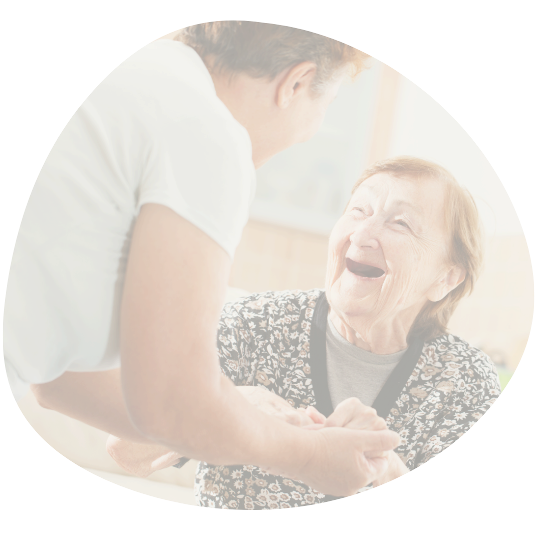 Albatros Bois-Francs/Érable