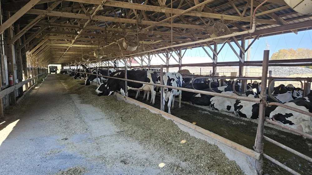 Vellema Dairy: A Family Tradition of Growth and Innovation — Western ...