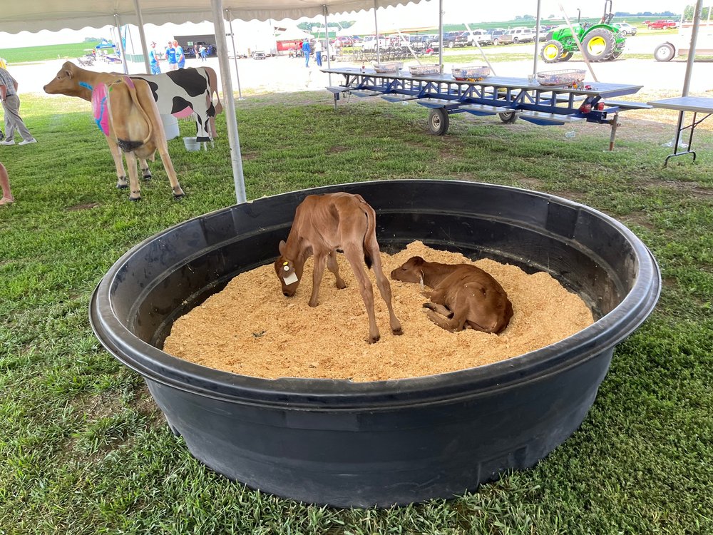 Open House — Western Iowa Dairy Alliance