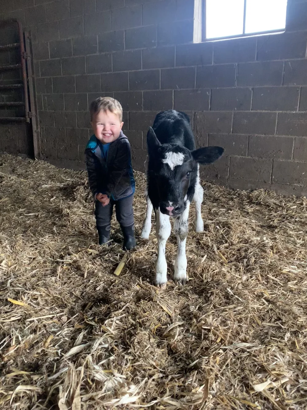 Cornbelt Dairy: A Legacy of Tradition and Innovation — Western Iowa ...