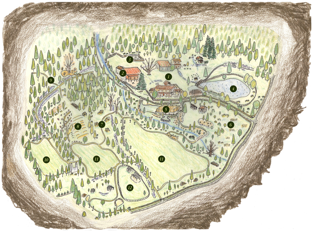 Bloom Farm — Where the possibility of knowing who you are is encouraged