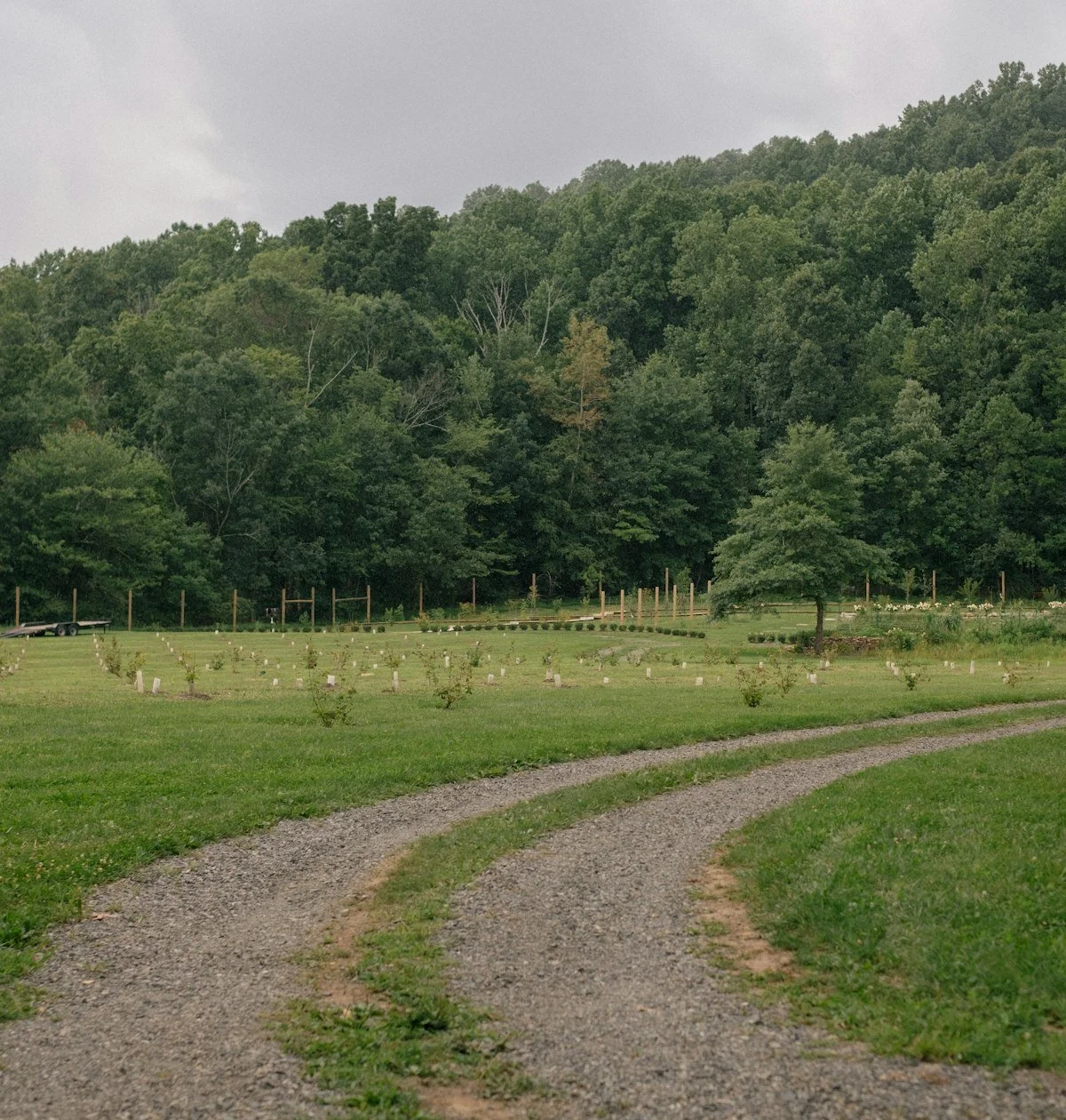 Regenerative agriculture at Bloom Farm — Bloom Farm