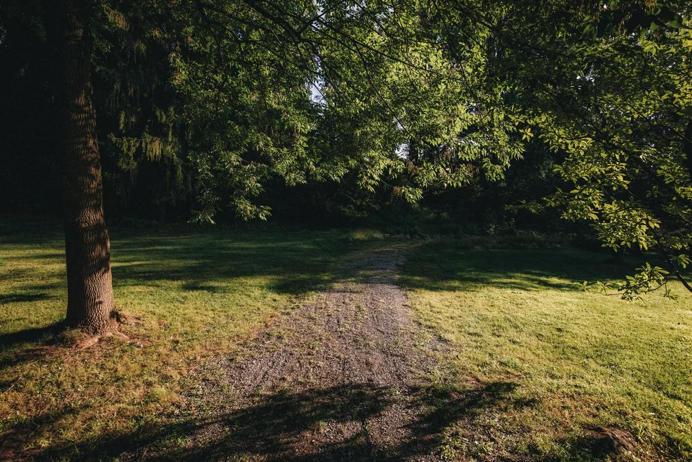 Bloom Farm: Nature Preserve & All-Inclusive Farm Stay