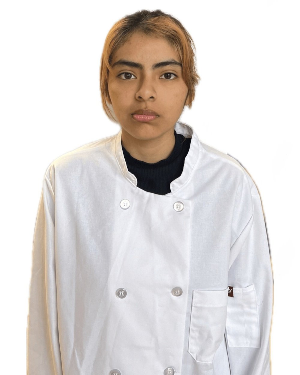 Mission Language And Vocational School