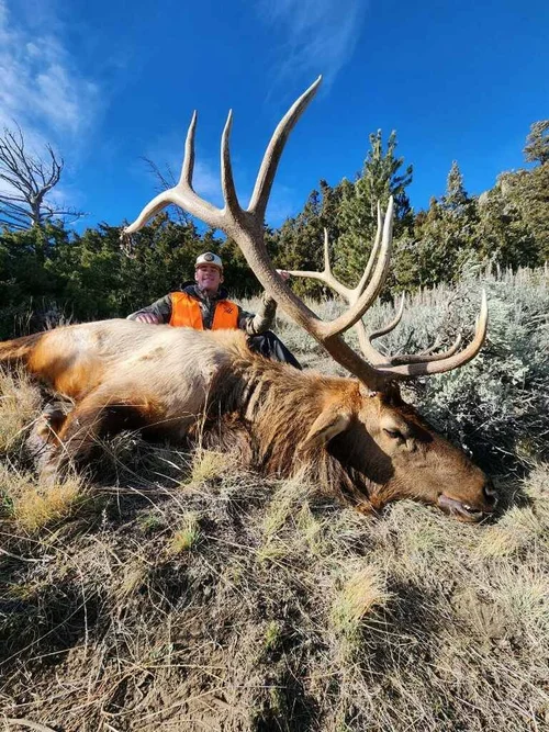 Gallery 1 — Montana Hunting Company