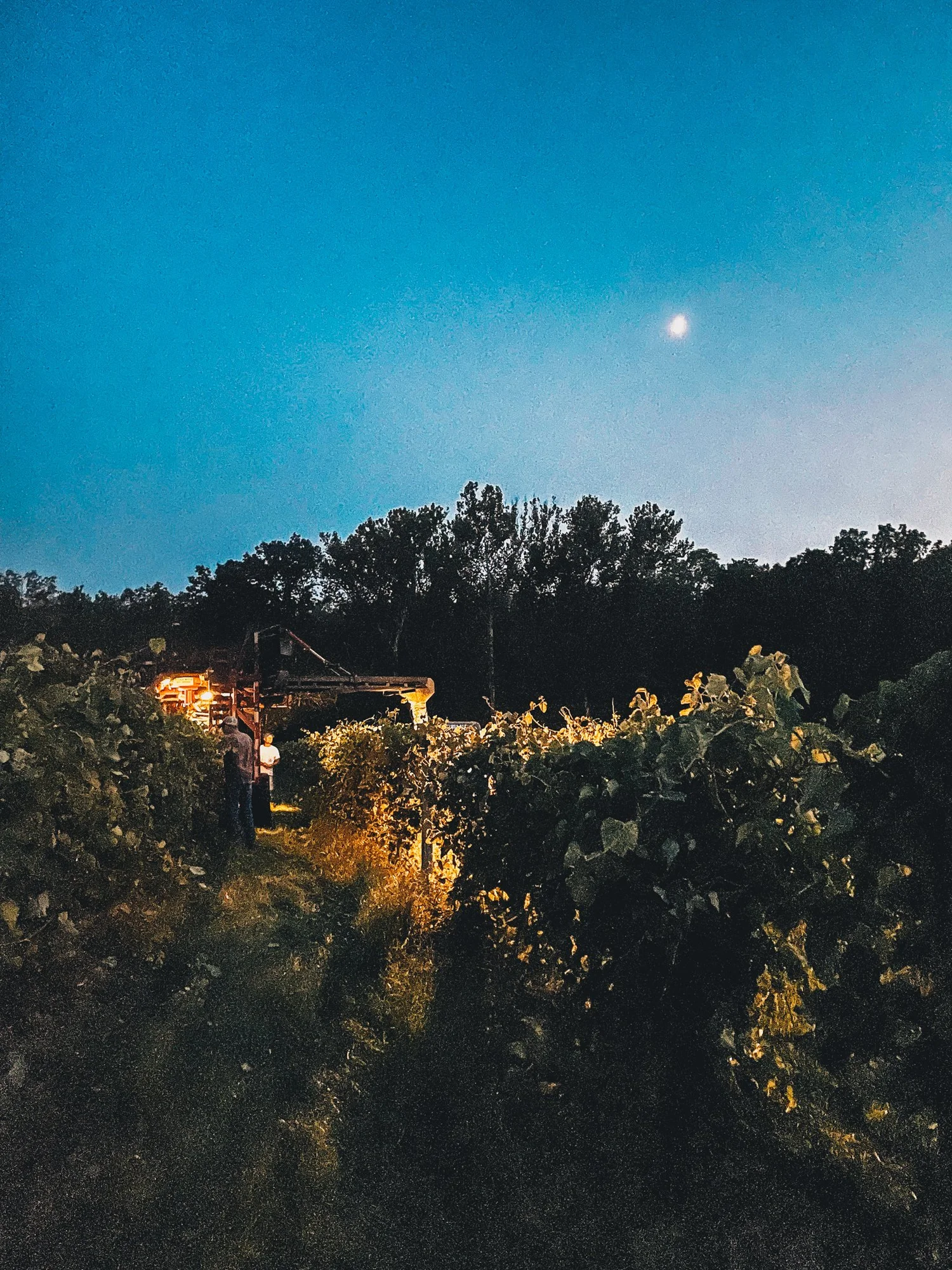 Who We Are — EASLEY WINERY