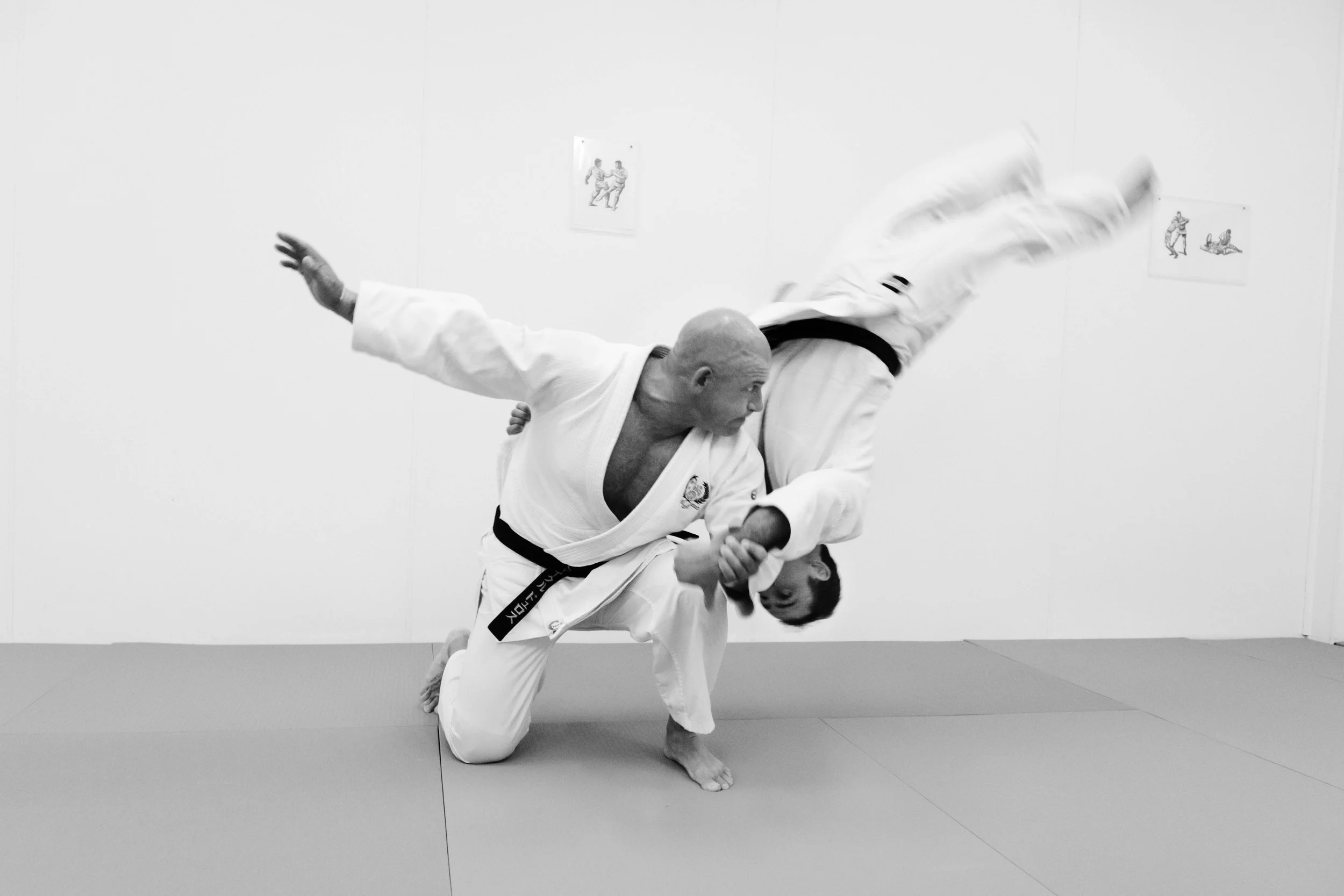 International Jujutsu Institute
