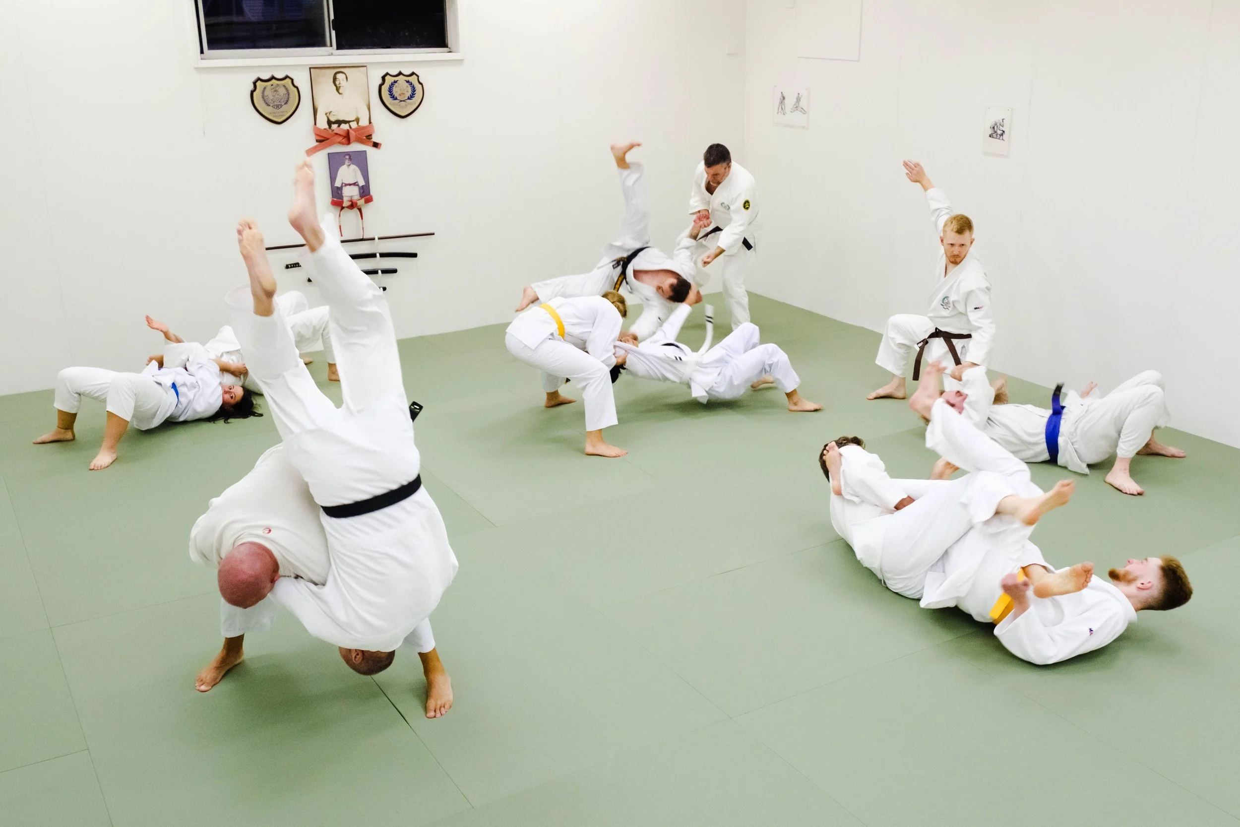 Instructors — International Jujutsu Institute