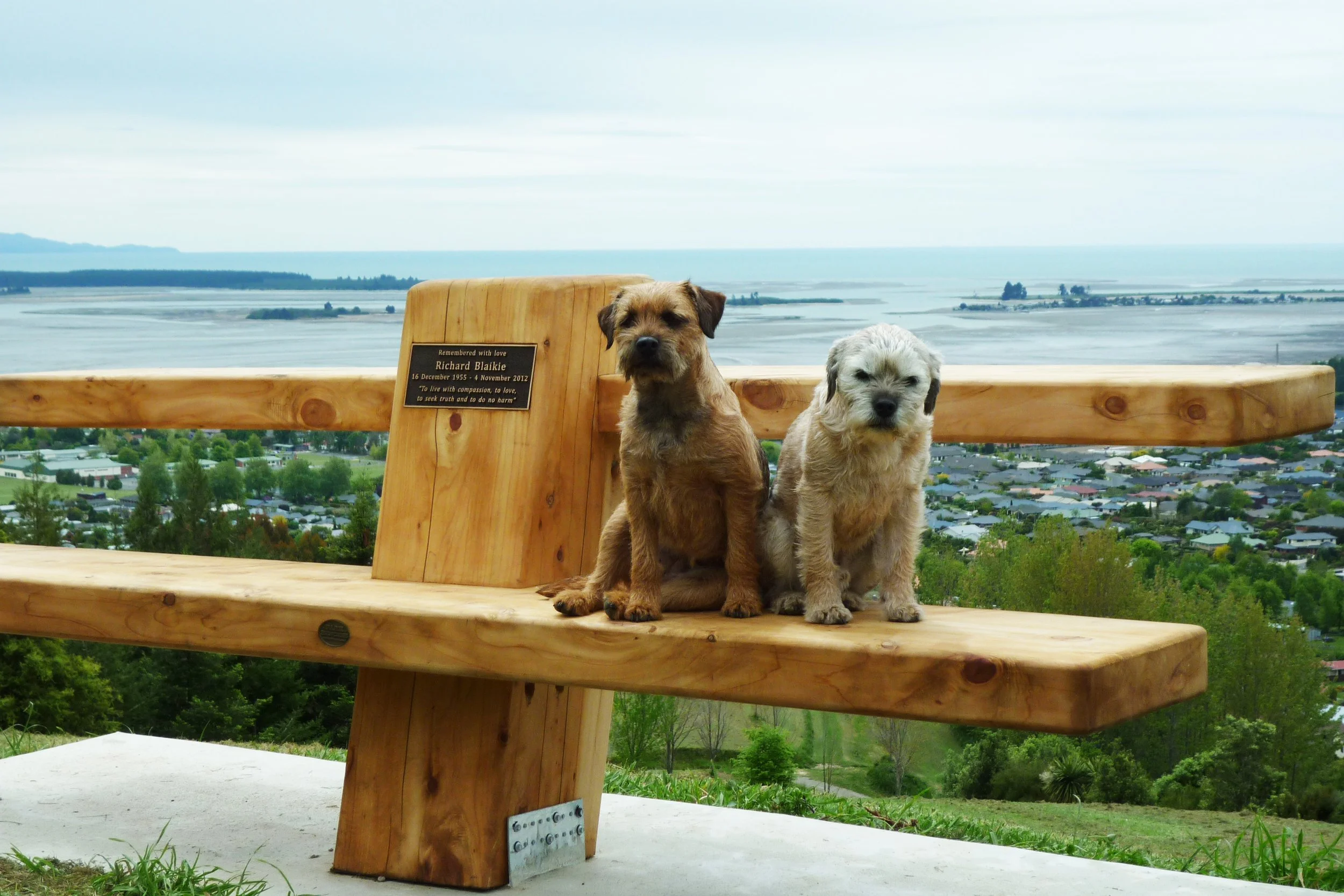 Park Benches Limited | High-Quality Outdoor Furniture Handcrafted in NZ