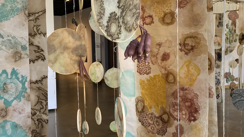 Cultivation: Marilee Salvator — COOP Gallery