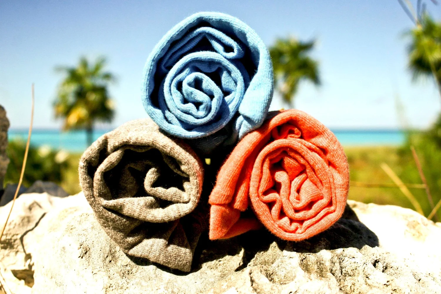 SHOP — Neal Watson's Bimini Scuba Center