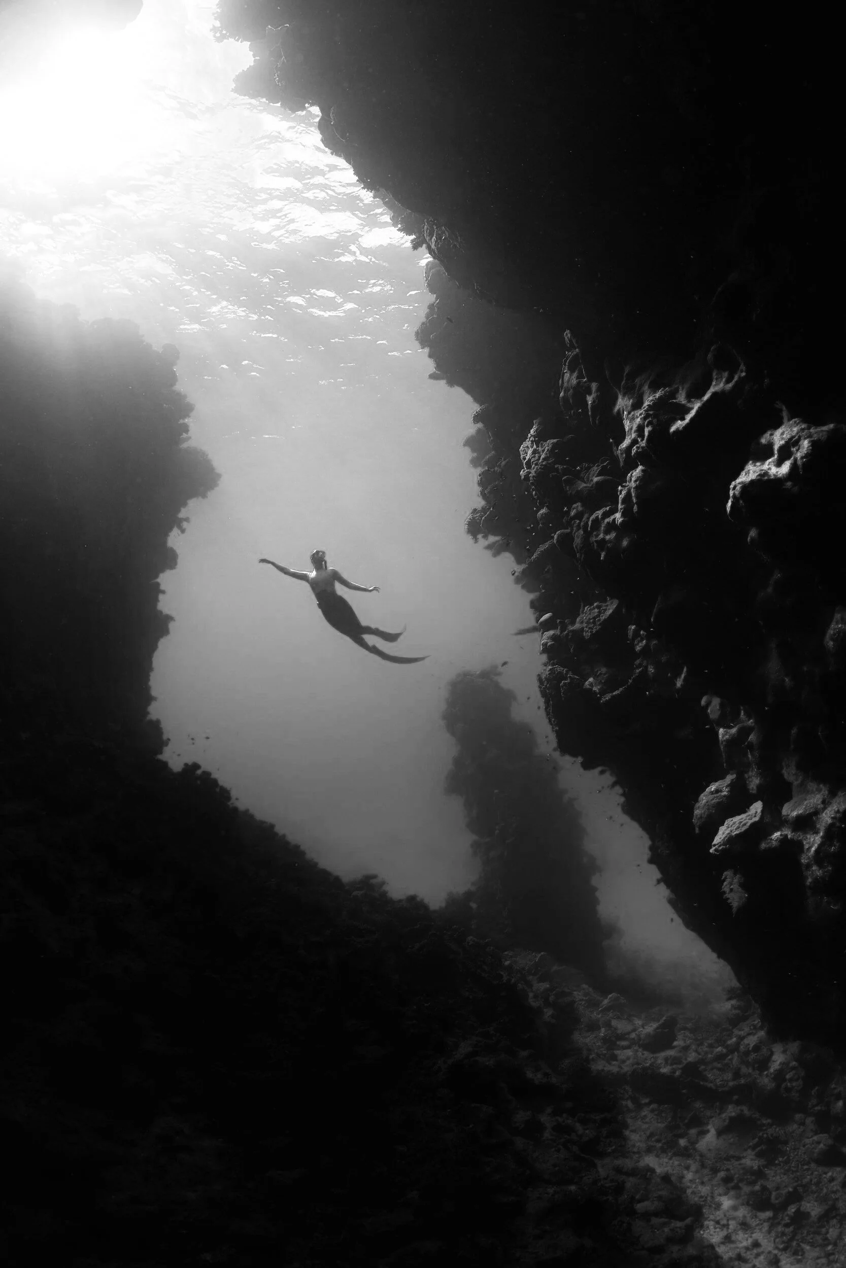 Neal Watson's Bimini Scuba Center