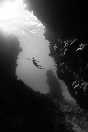 Neal Watson's Bimini Scuba Center