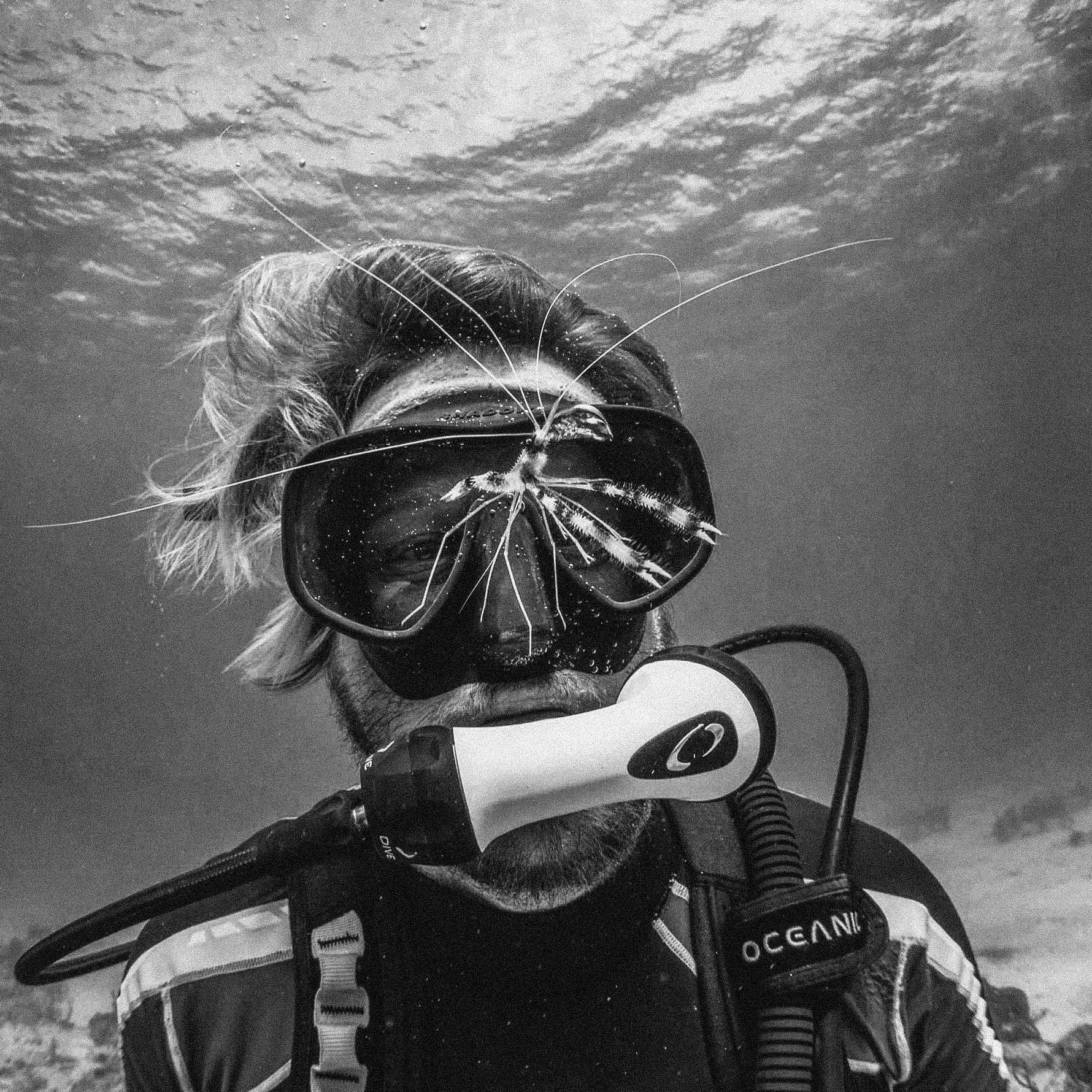 Neal Watson's Bimini Scuba Center