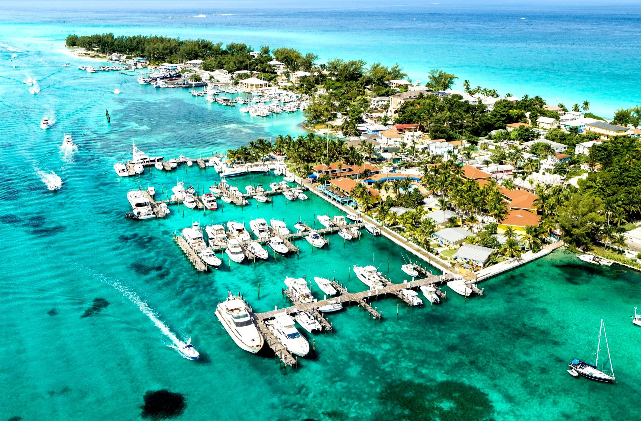 Packages — Neal Watson's Bimini Scuba Center