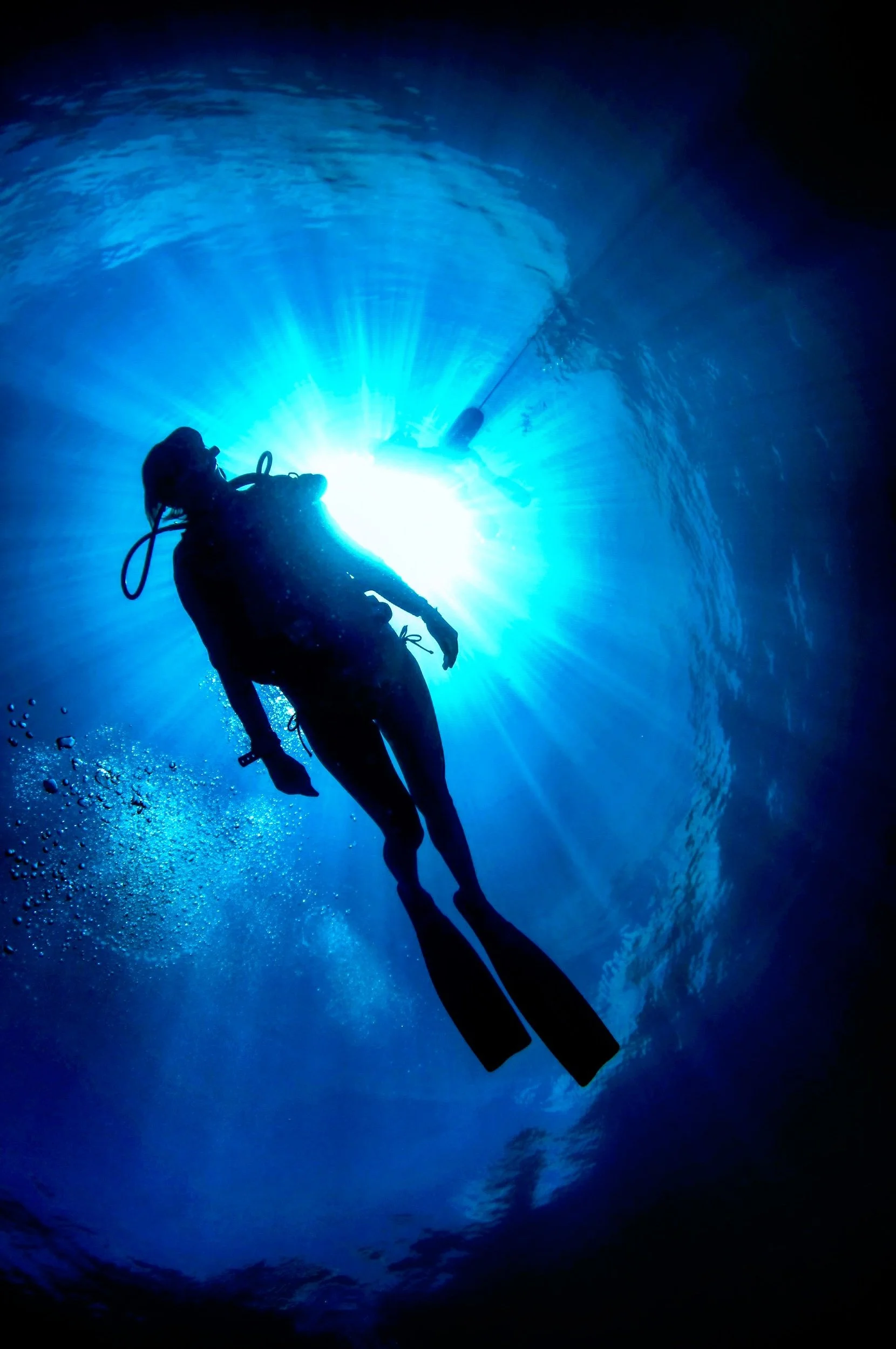 Scuba Diving — Neal Watson's Bimini Scuba Center