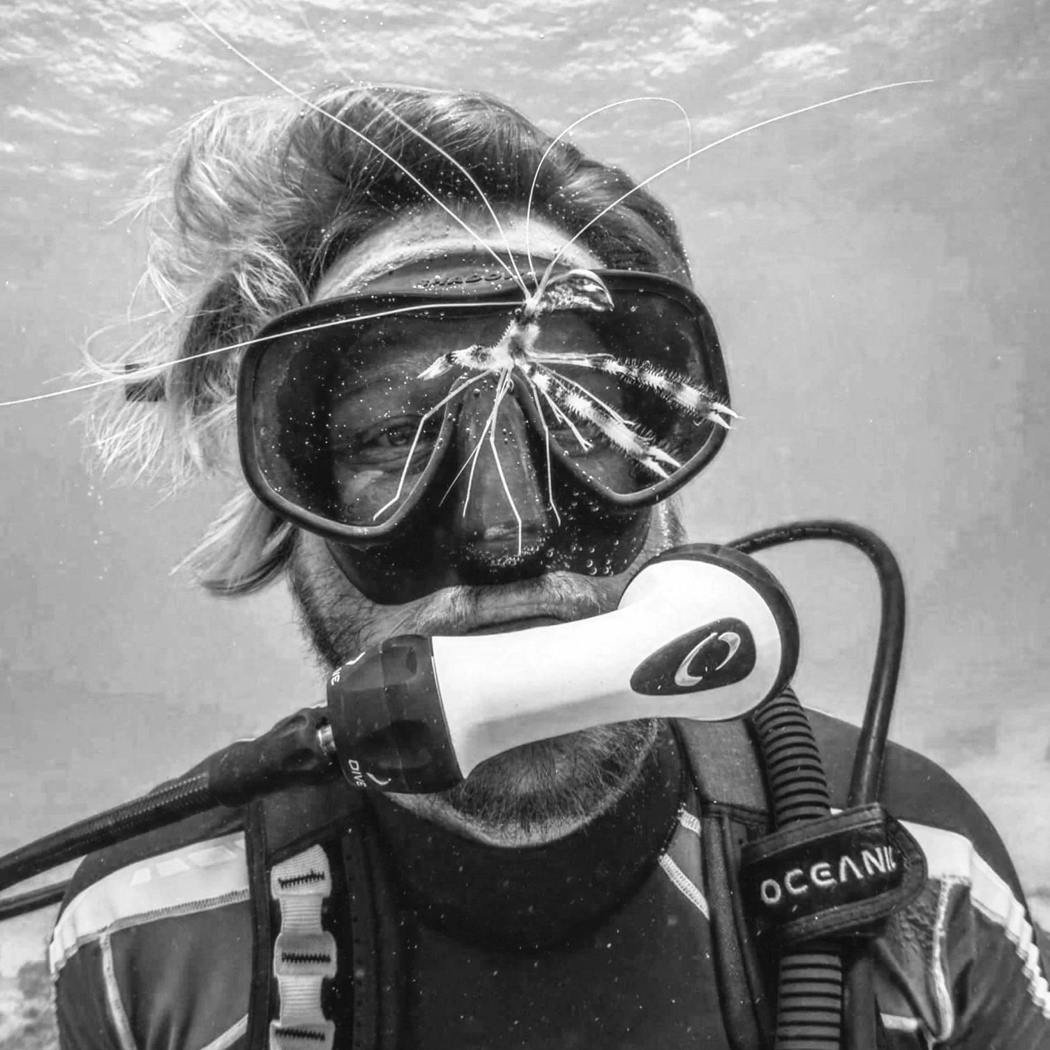 Neal Watson's Bimini Scuba Center