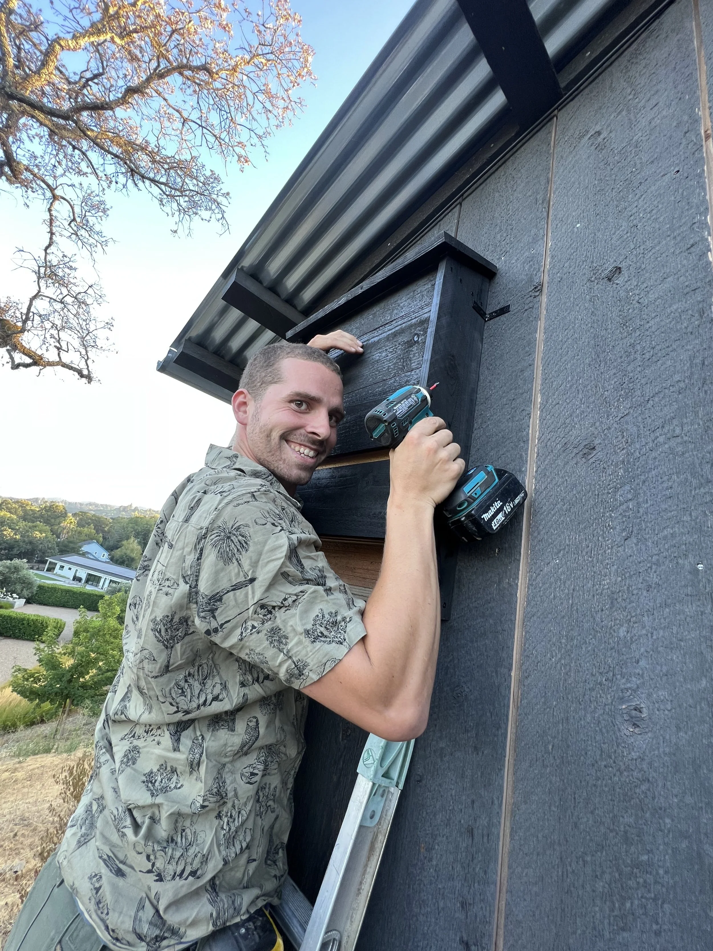 Happy Bat Solutions: