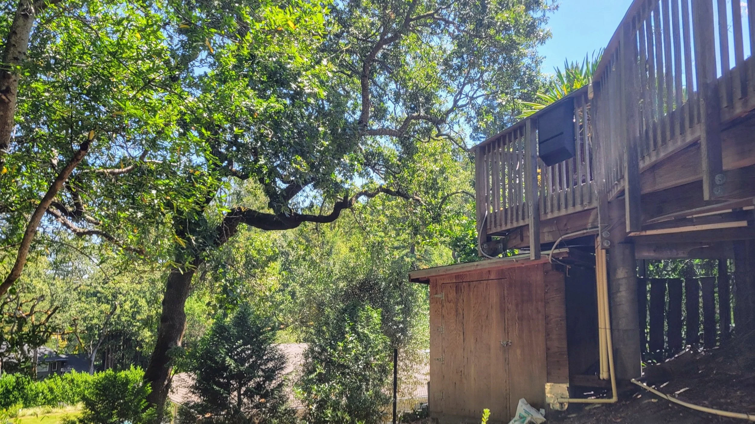 Happy Bat Solutions: