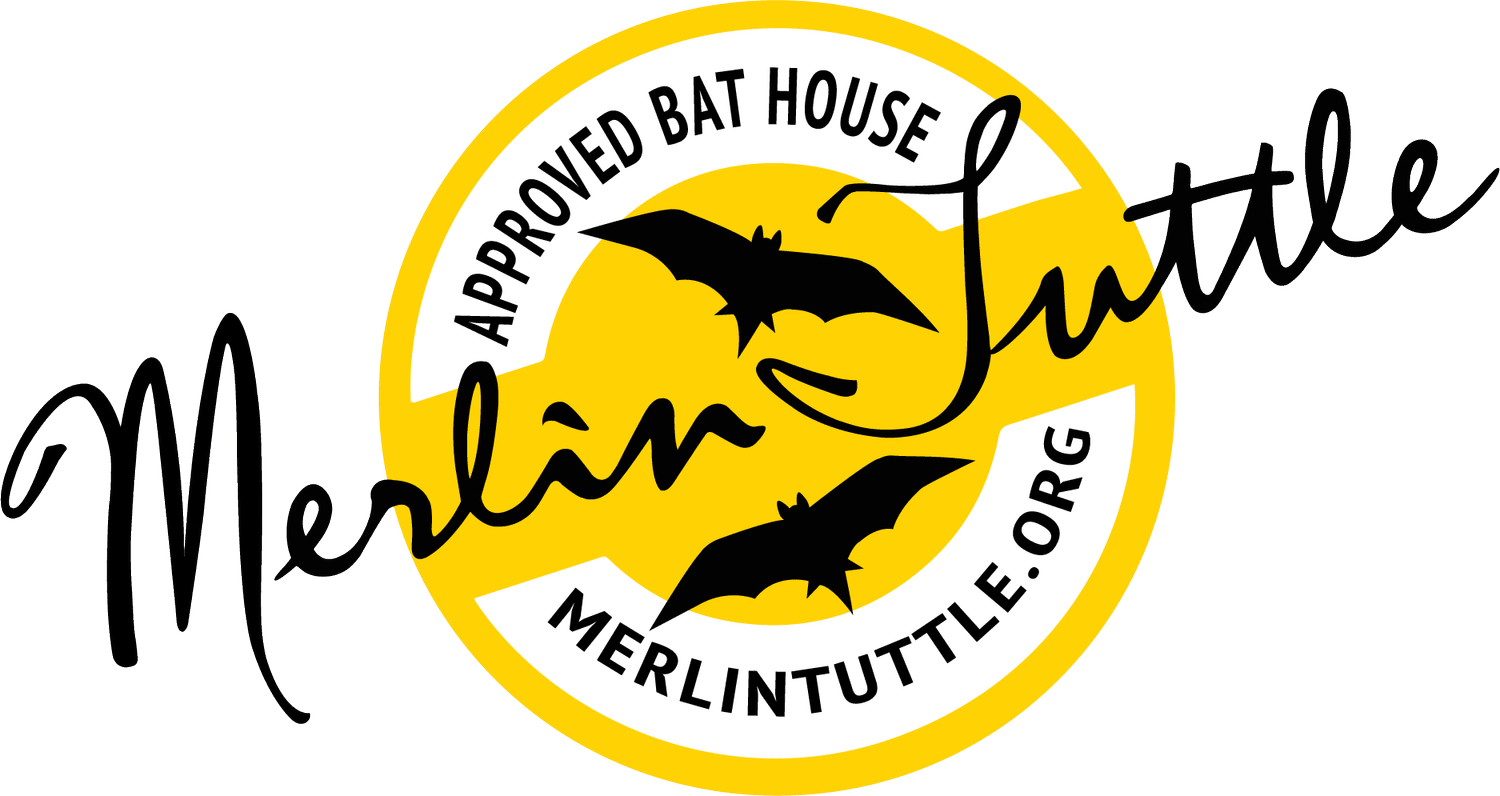 Happy Bat Solutions: Bat Removal, Bat Houses & Wildlife Solutions ...