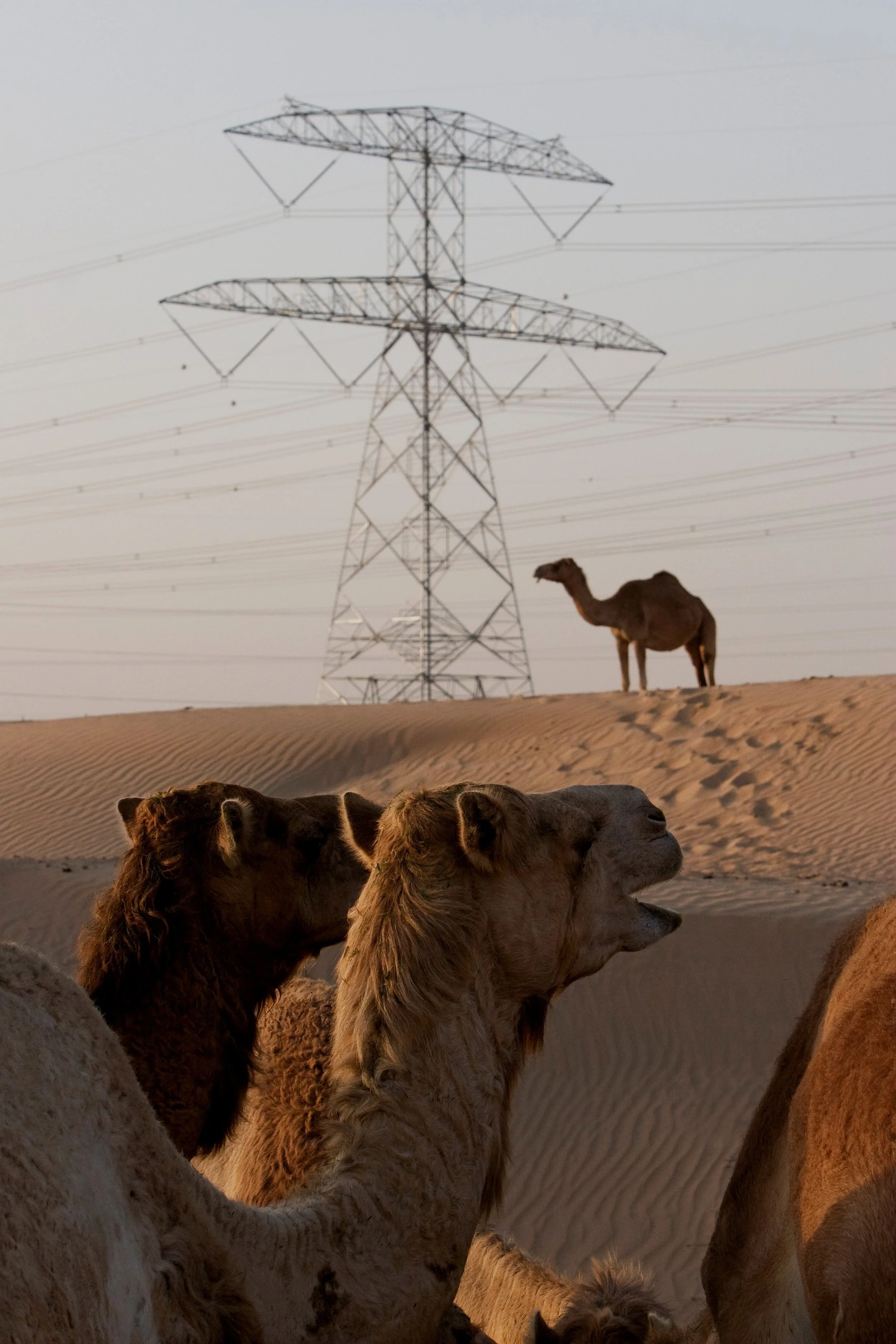 UAE's premier manufacturer of monopoles, lattice towers, solar mounting ...