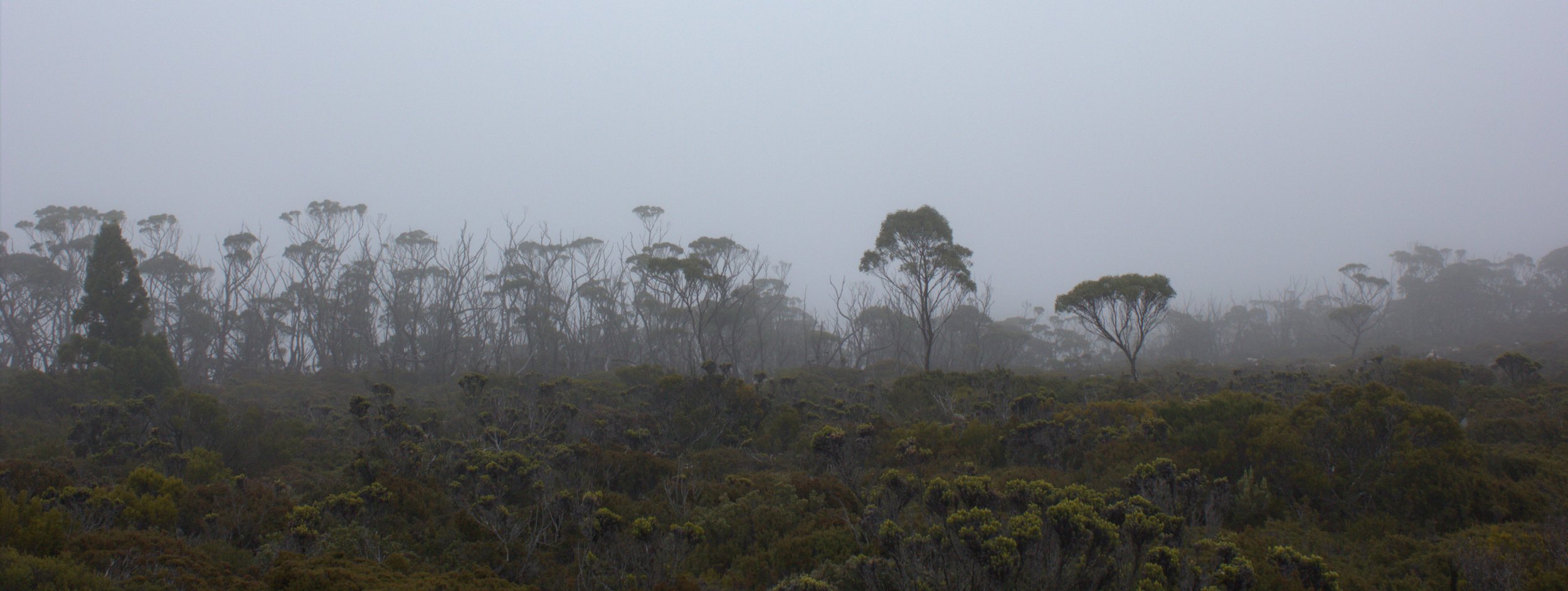 FAQs — Bedtime Window