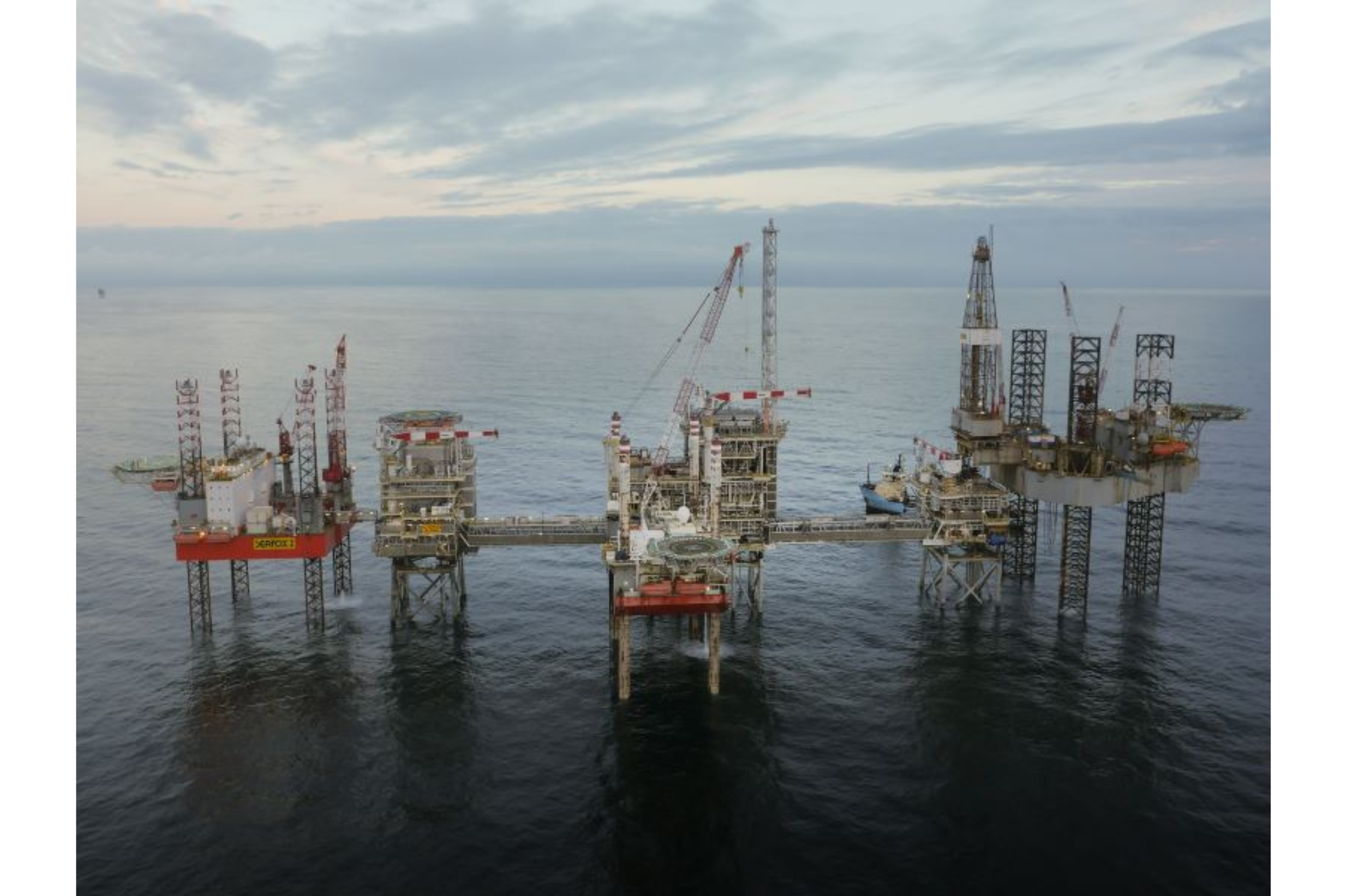 Cygnus Platform — Thistledown Group