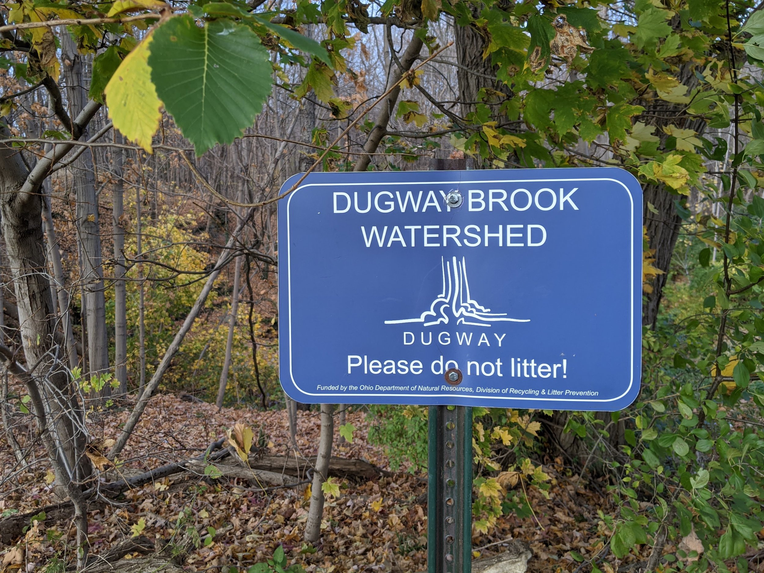 Friends of Heights Parks